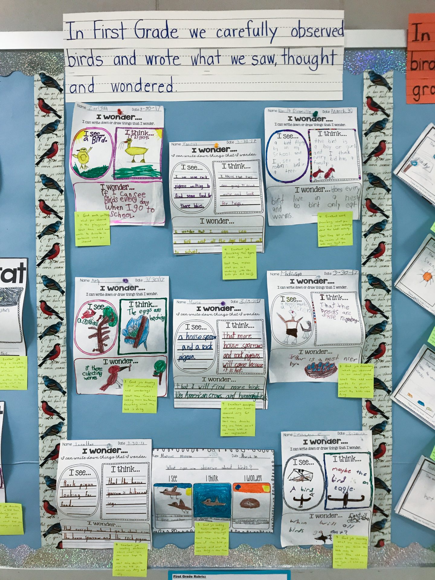 P.S. 228Q Celebrates Urban Birds | Celebrate Urban Birds