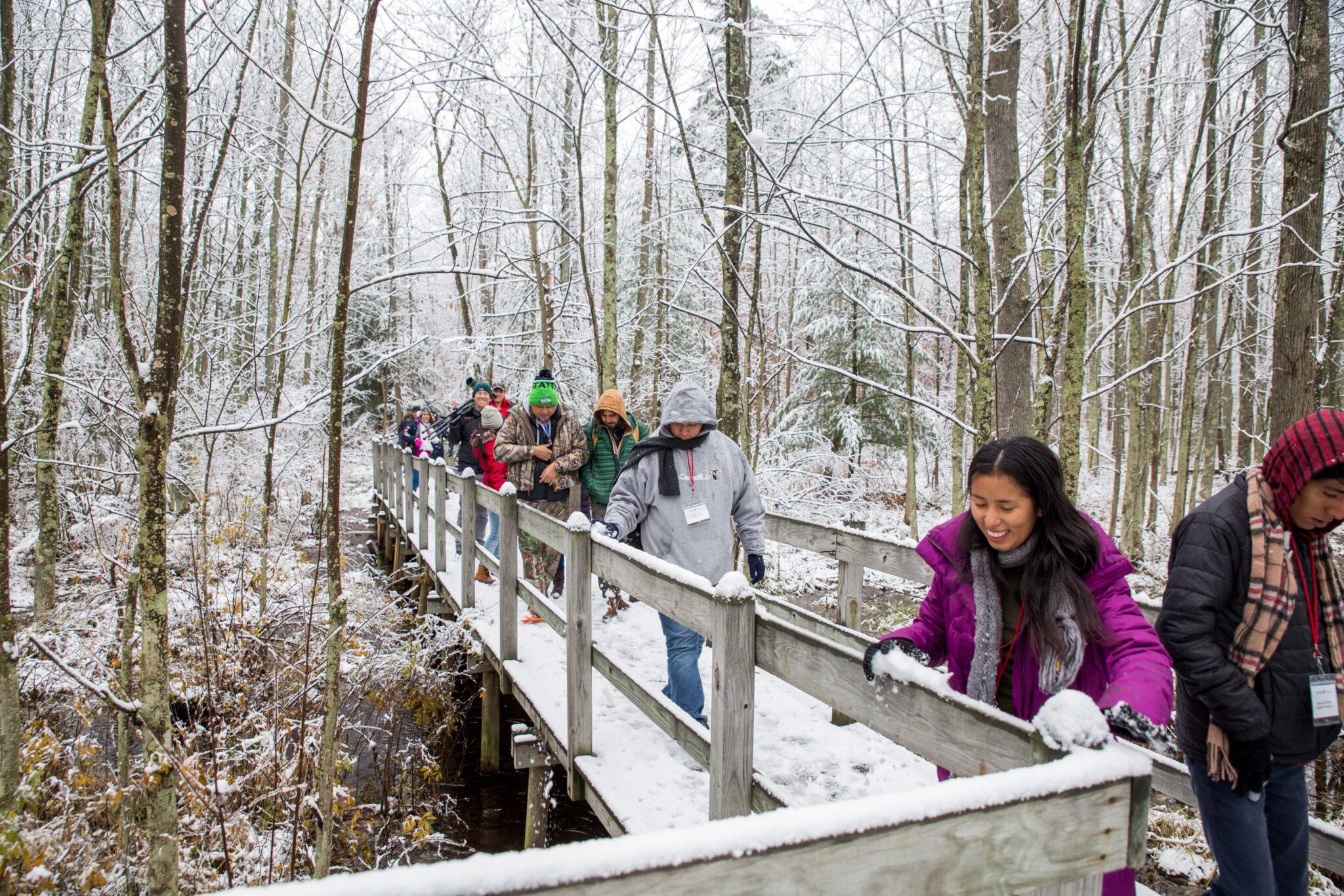 Nature Walks – Celebrate Urban Birds
