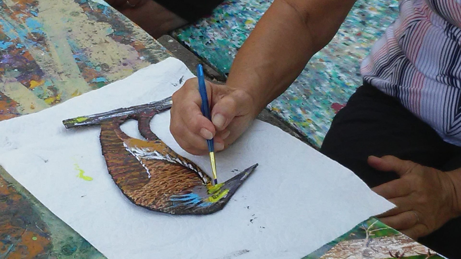 Wonderful Environmental Activities with Observatorio de Aves de San ...