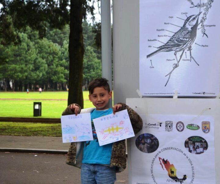 Mexican Celebrate Urban Birds Kit – Celebrate Urban Birds