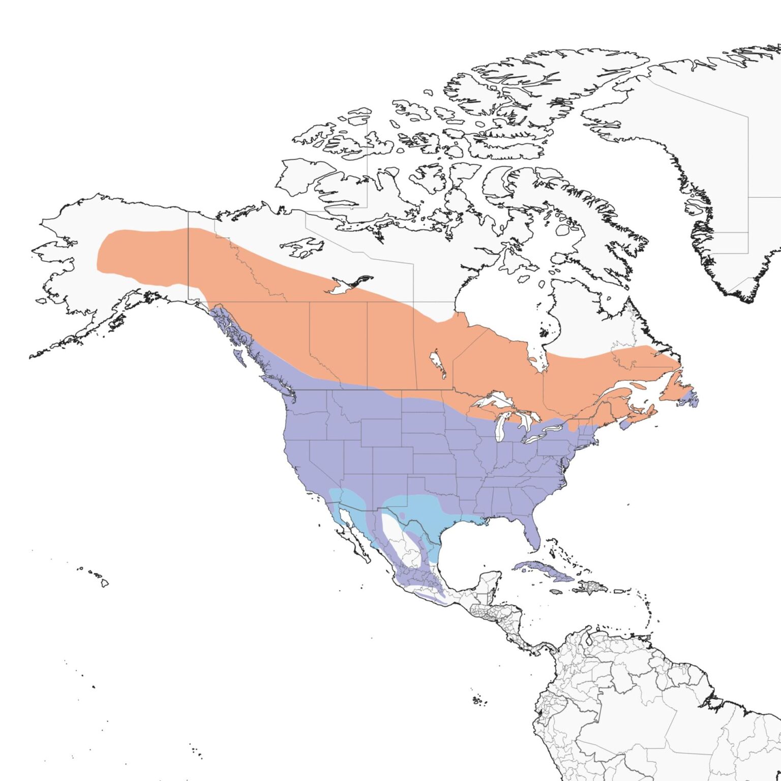 Northern Flicker – Celebrate Urban Birds