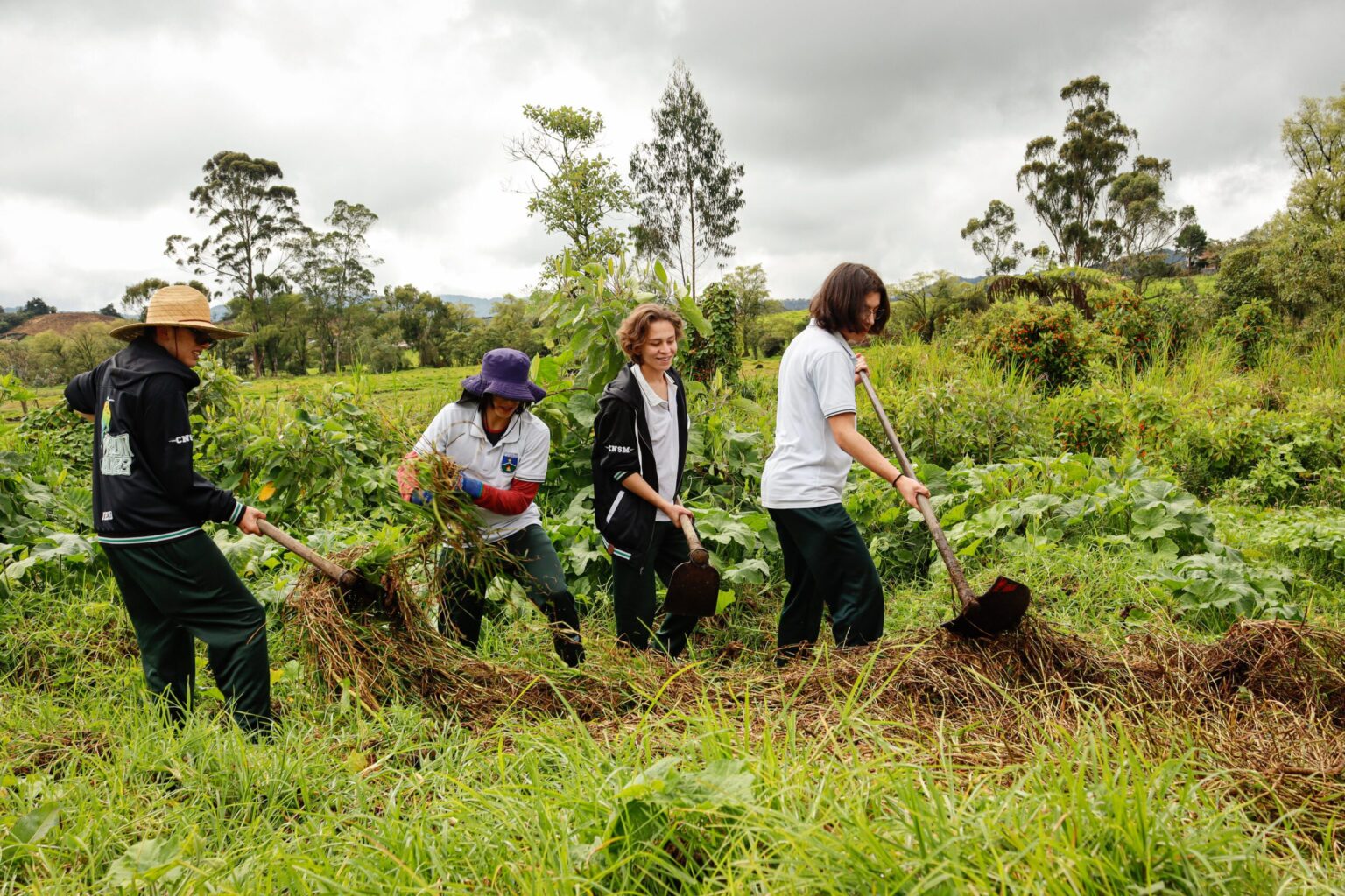 Partnering for Impact – Celebrate Urban Birds
