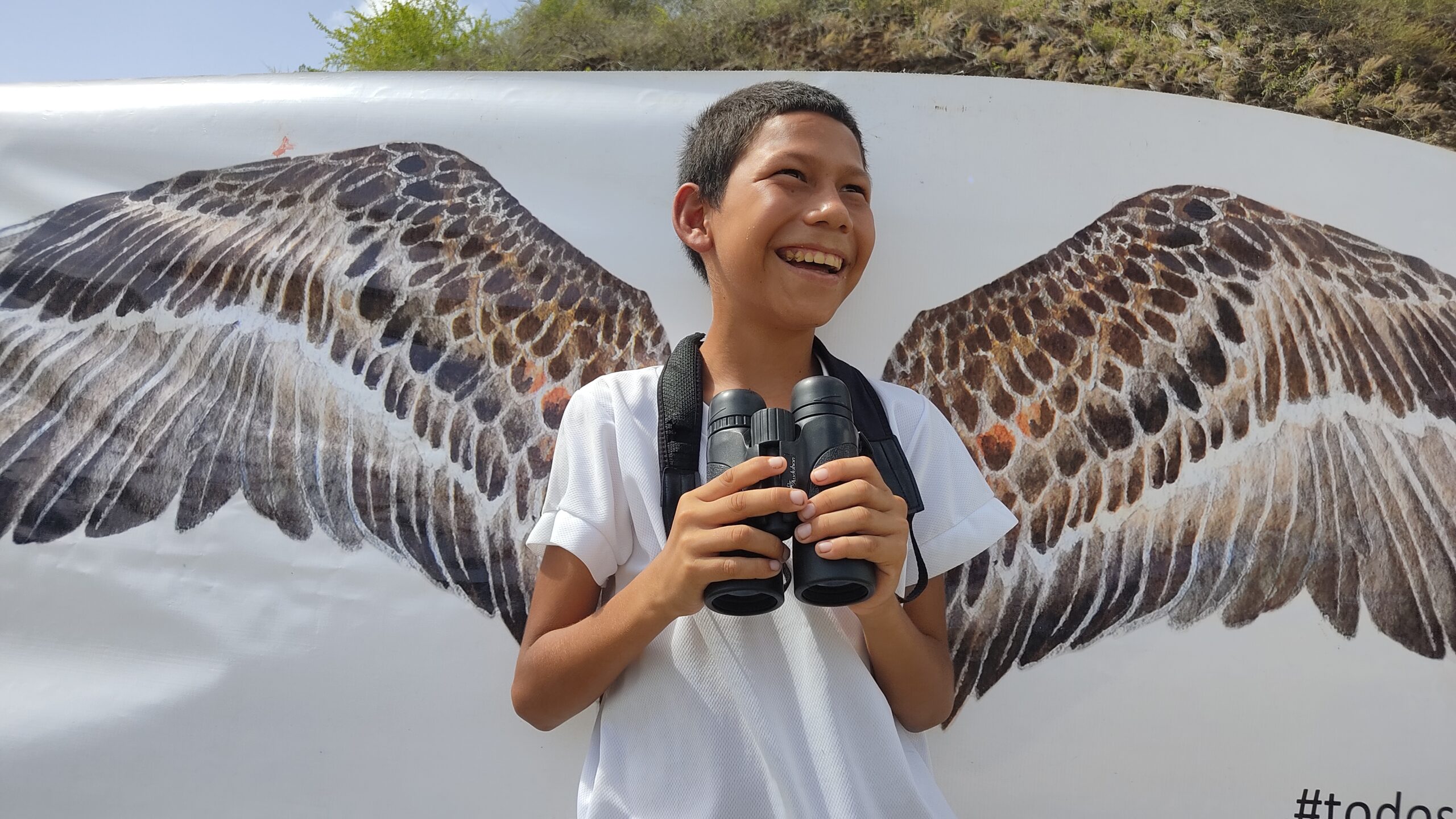 Key Initiatives – Celebrate Urban Birds