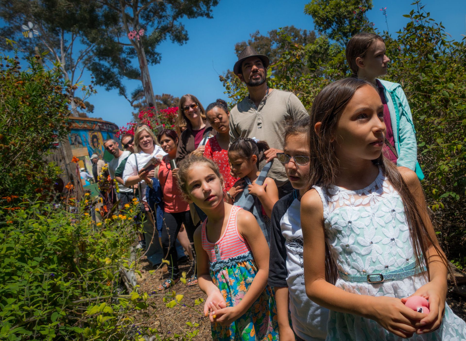 Key Initiatives – Celebrate Urban Birds